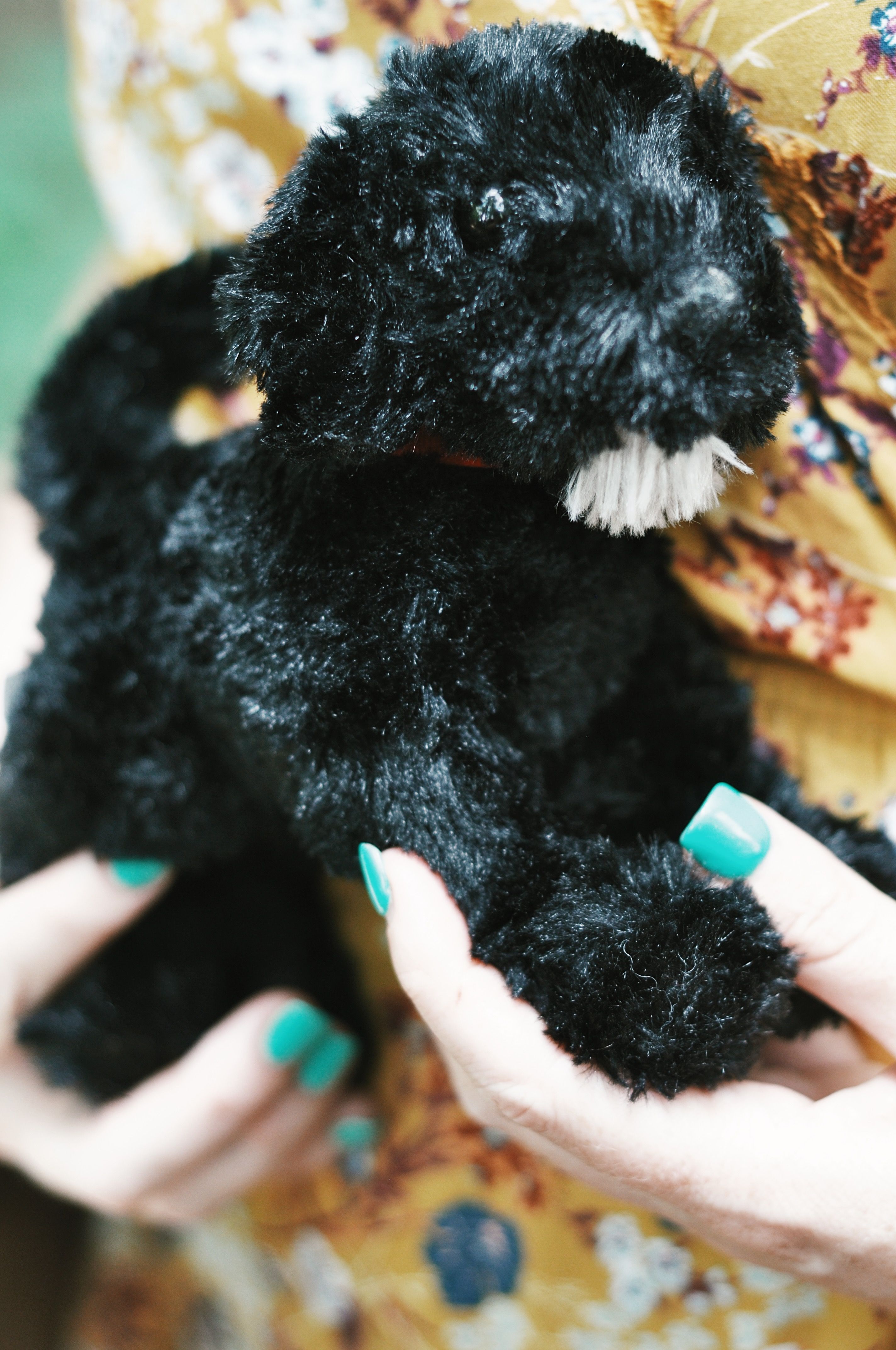 Guido – Morgan Laine Lehman